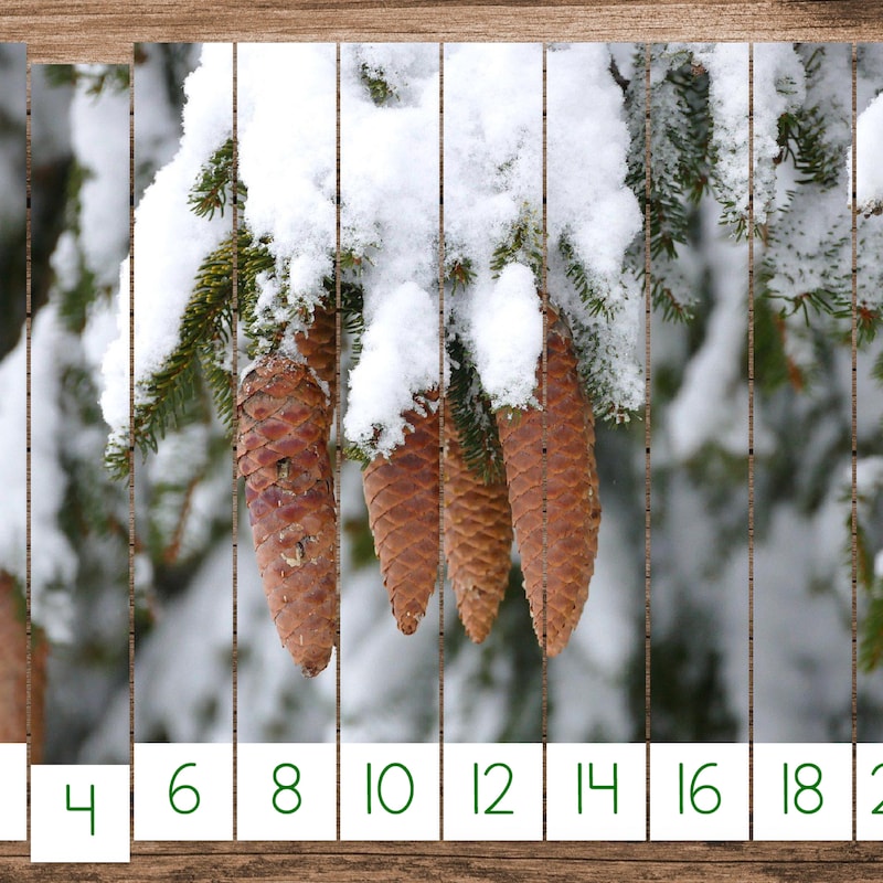 MyMontessoriCorner - Etsy