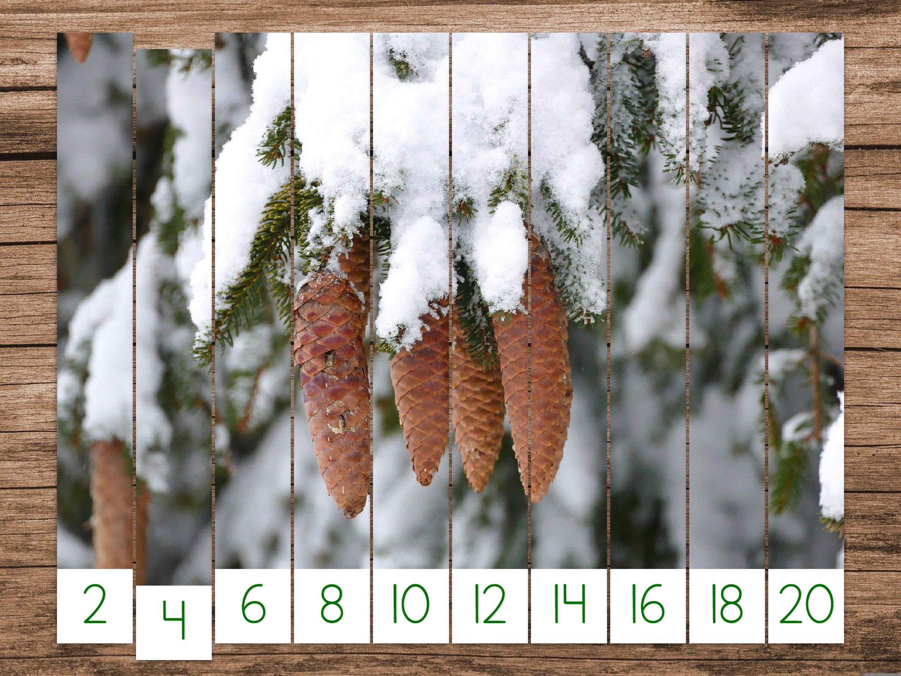 Winter Forest Skip Counting Puzzles (montessori Math Printable) - Etsy