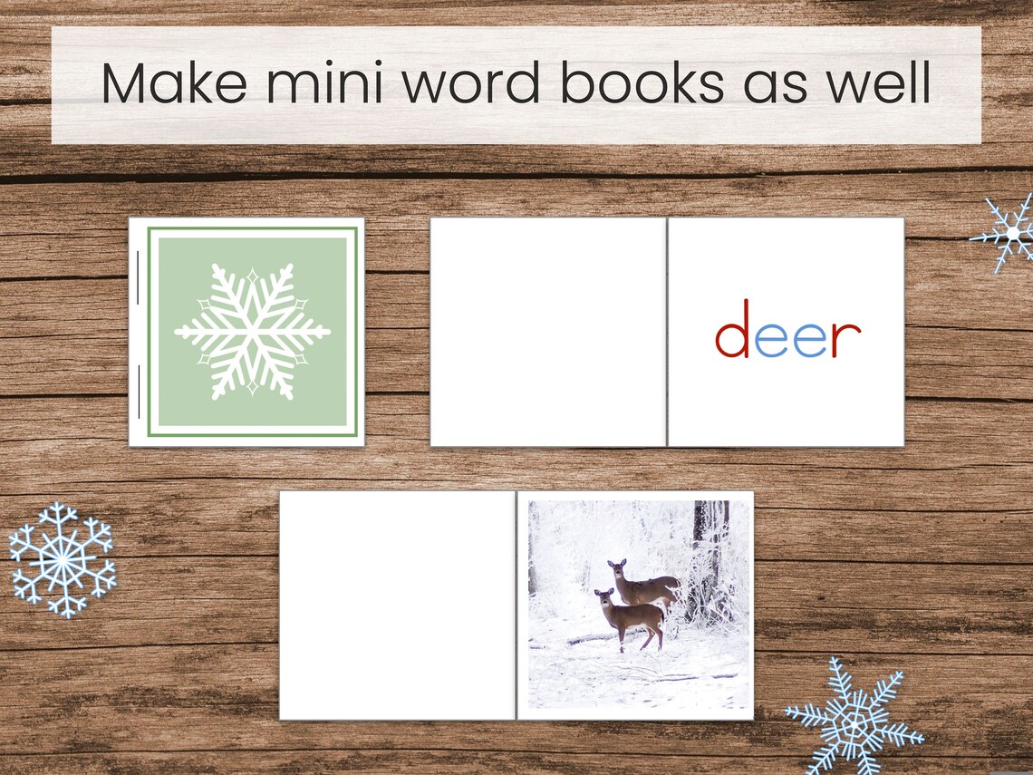 Winter Montessori Green Series Reading Cards (picture and Word Matching ...