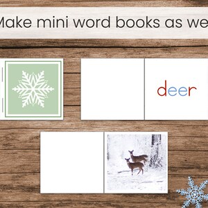 Winter Montessori Green Series Reading Cards (picture and Word Matching ...