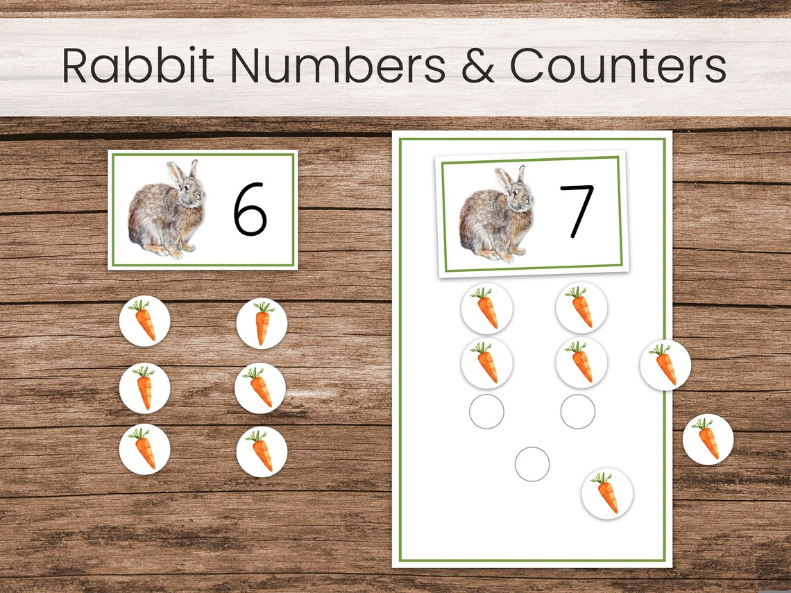 Spring Rabbit Numbers and Counters Activity (montessori Preschool Math ...