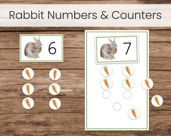 Bees & Flowers Numbers and Counters Activity montessori Preschool Math ...
