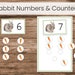 Spring Rabbit Numbers and Counters Activity (montessori Preschool Math ...