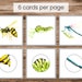 Insect Matching Cards, Part-to-whole (montessori Preschool Printable ...