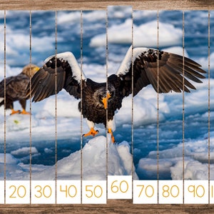 Winter Birds Skip Counting Puzzles (montessori Math Printable) - Etsy