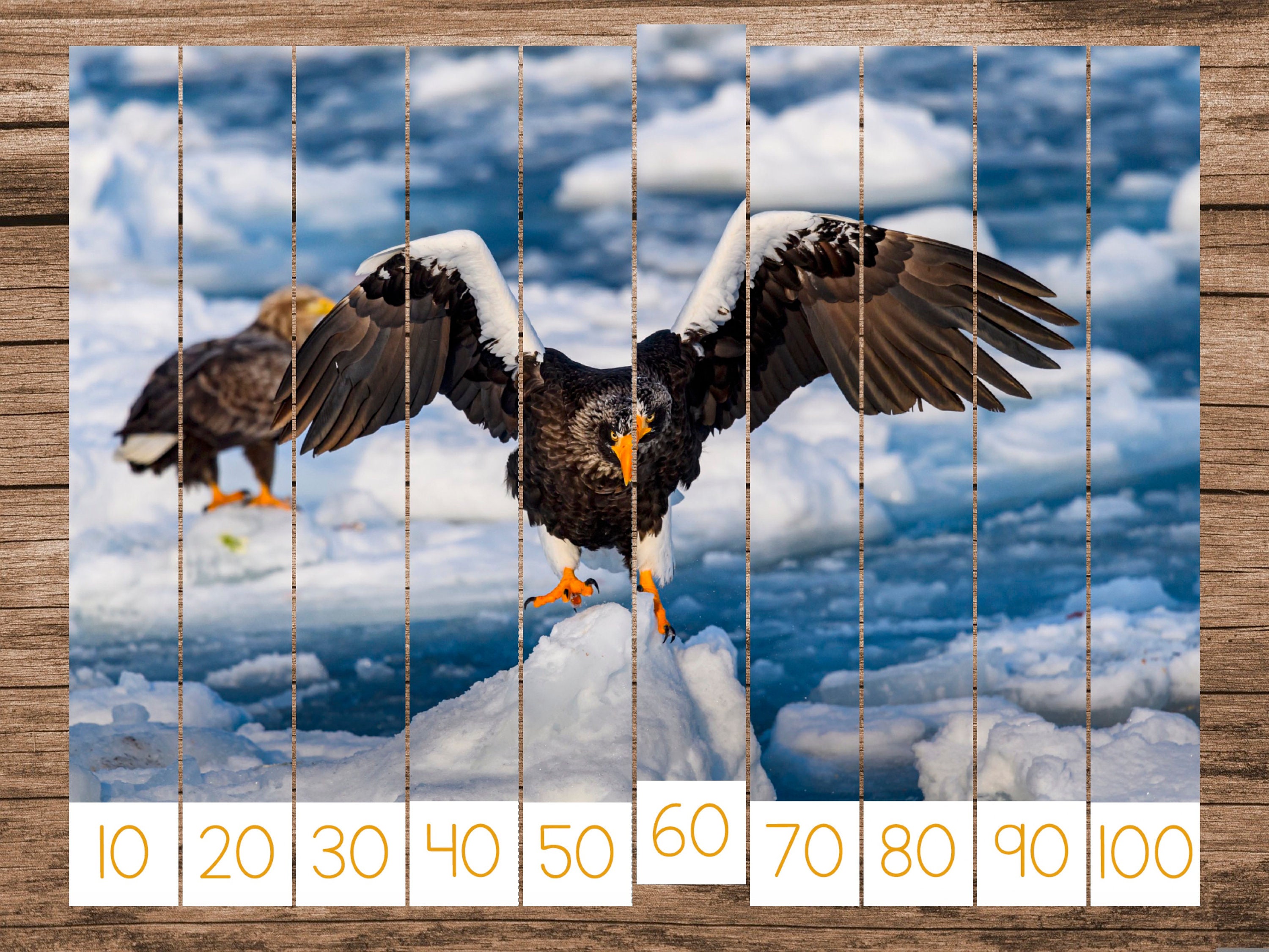 Winter Birds Skip Counting Puzzles montessori Math Printable - Etsy