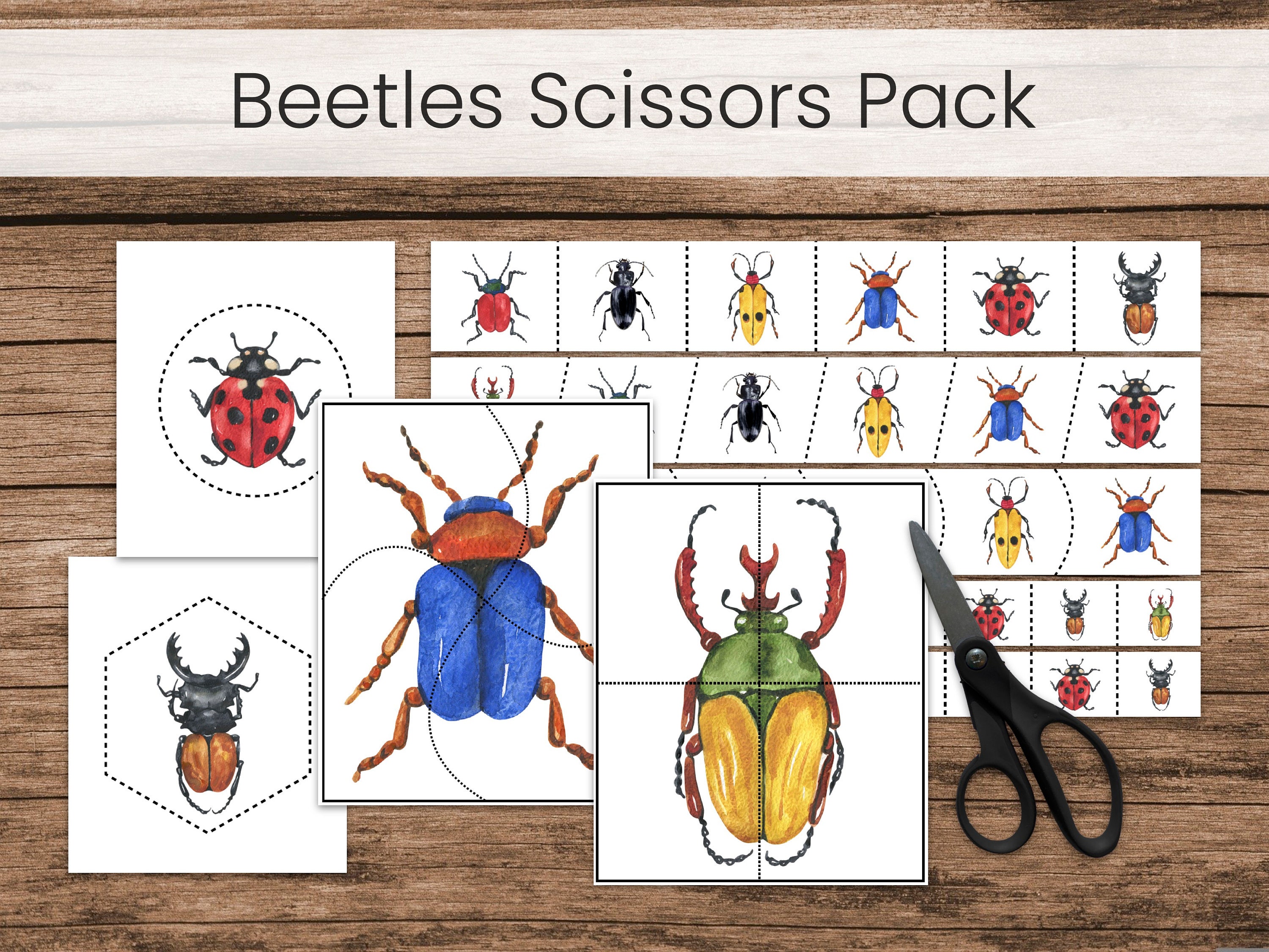 Insects Activity Bundle (montessori Preschool Printable Unit) - Etsy