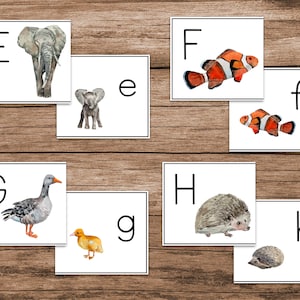 Uppercase-lowercase Alphabet Matching Cards, Mother and Baby Animals ...