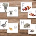 Uppercase-lowercase Alphabet Matching Cards, Mother and Baby Animals ...