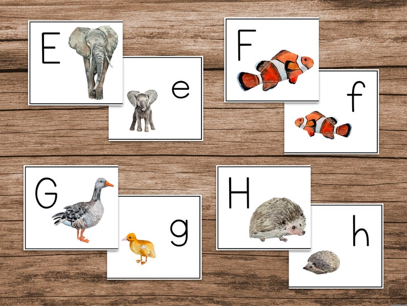Uppercase-lowercase Alphabet Matching Cards, Mother and Baby Animals ...