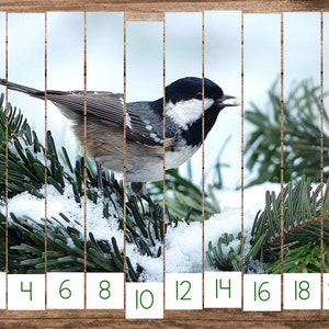 Winter Birds Skip Counting Puzzles (montessori Math Printable) - Etsy