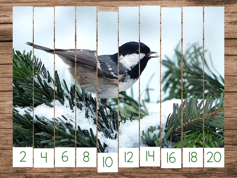 Winter Birds Skip Counting Puzzles (montessori Math Printable) - Etsy