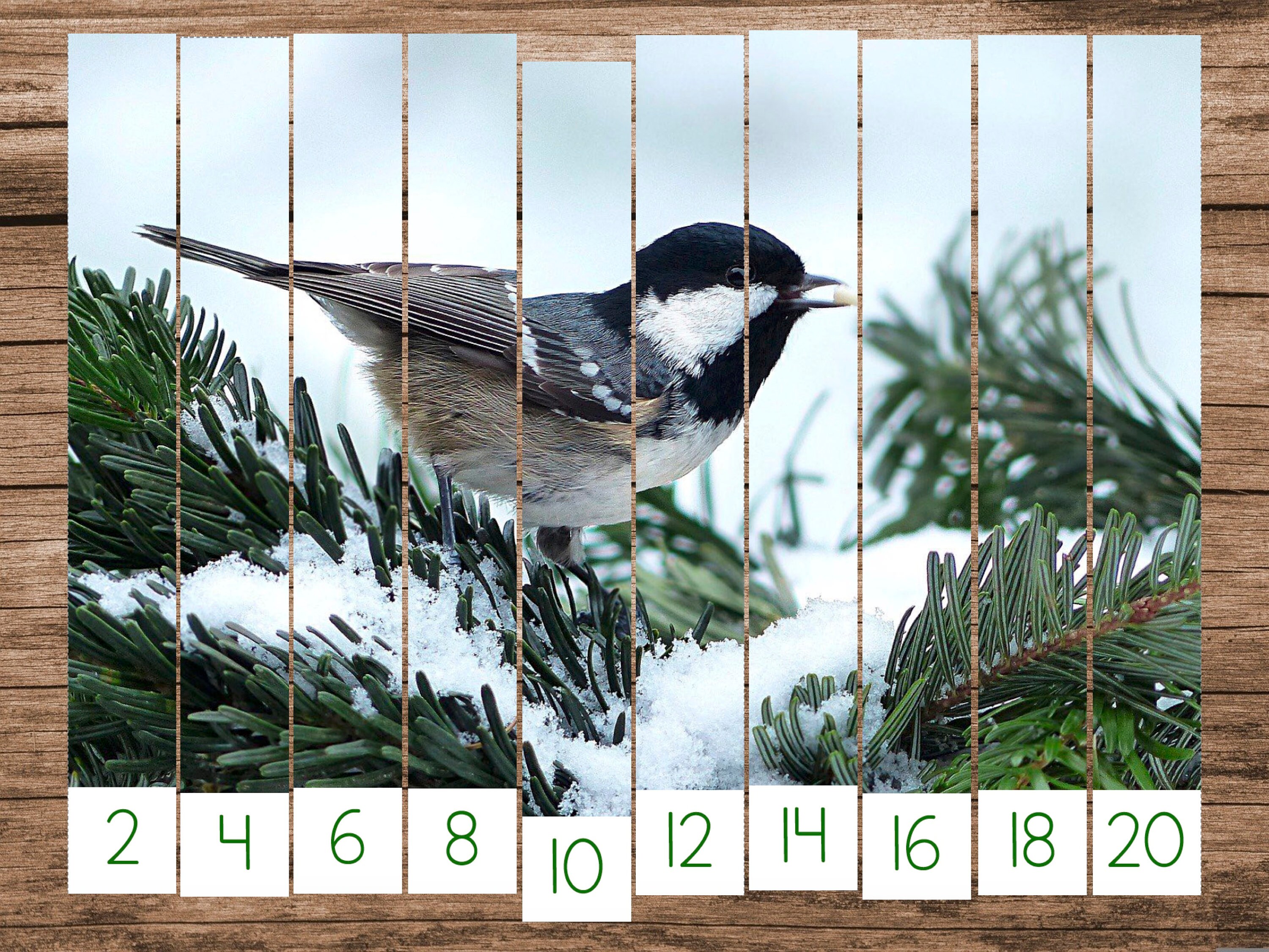 Winter Birds Skip Counting Puzzles (montessori Math Printable) - Etsy