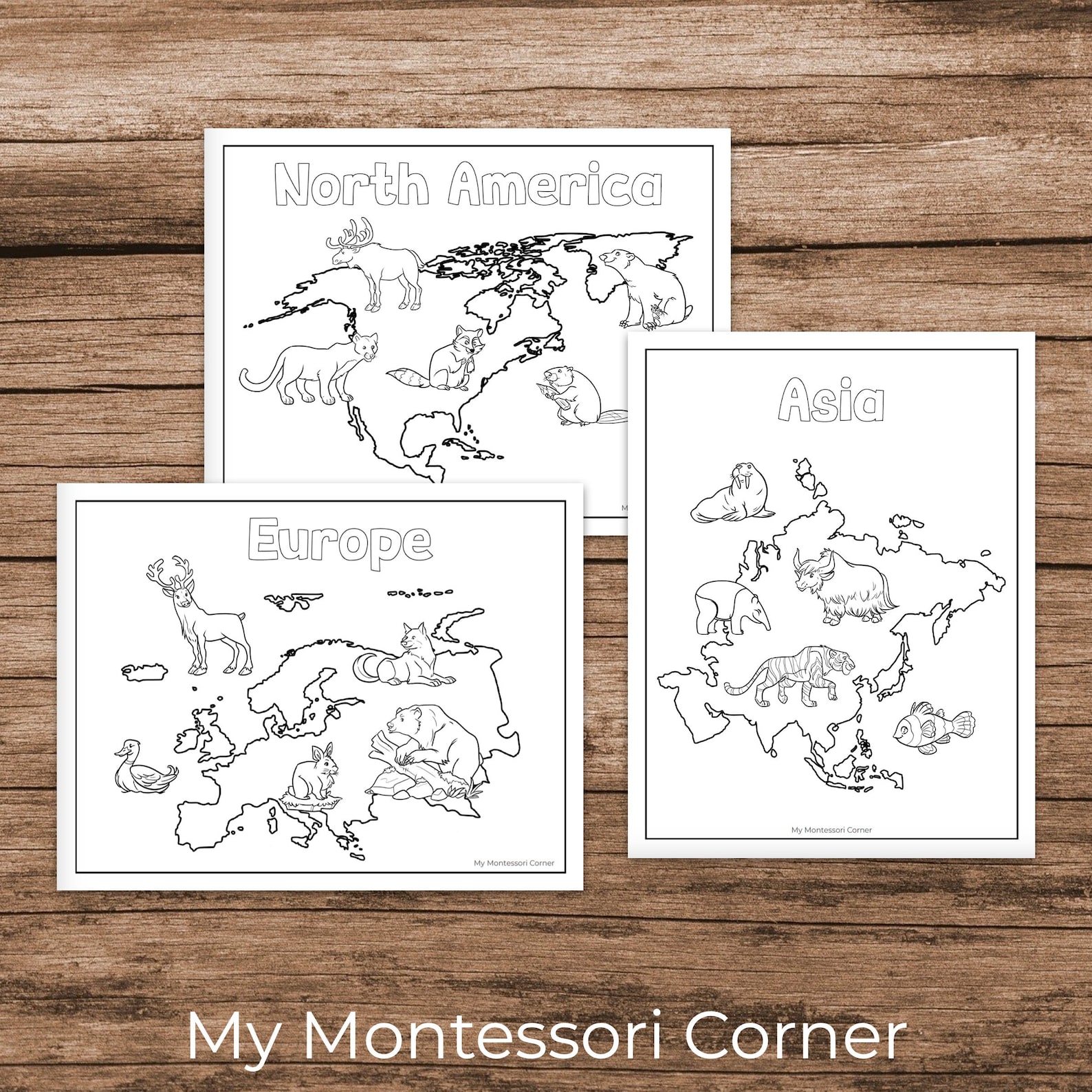 Animals of the Continents Coloring Pages (montessori Preschool ...