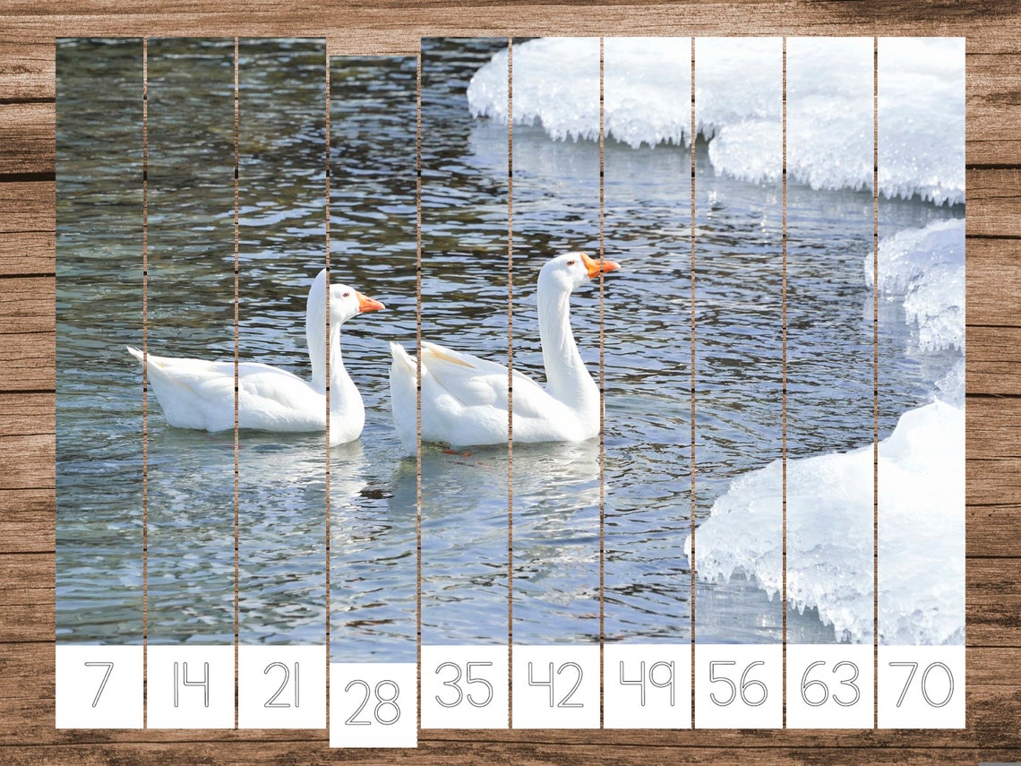 Winter Birds Skip Counting Puzzles montessori Math Printable - Etsy