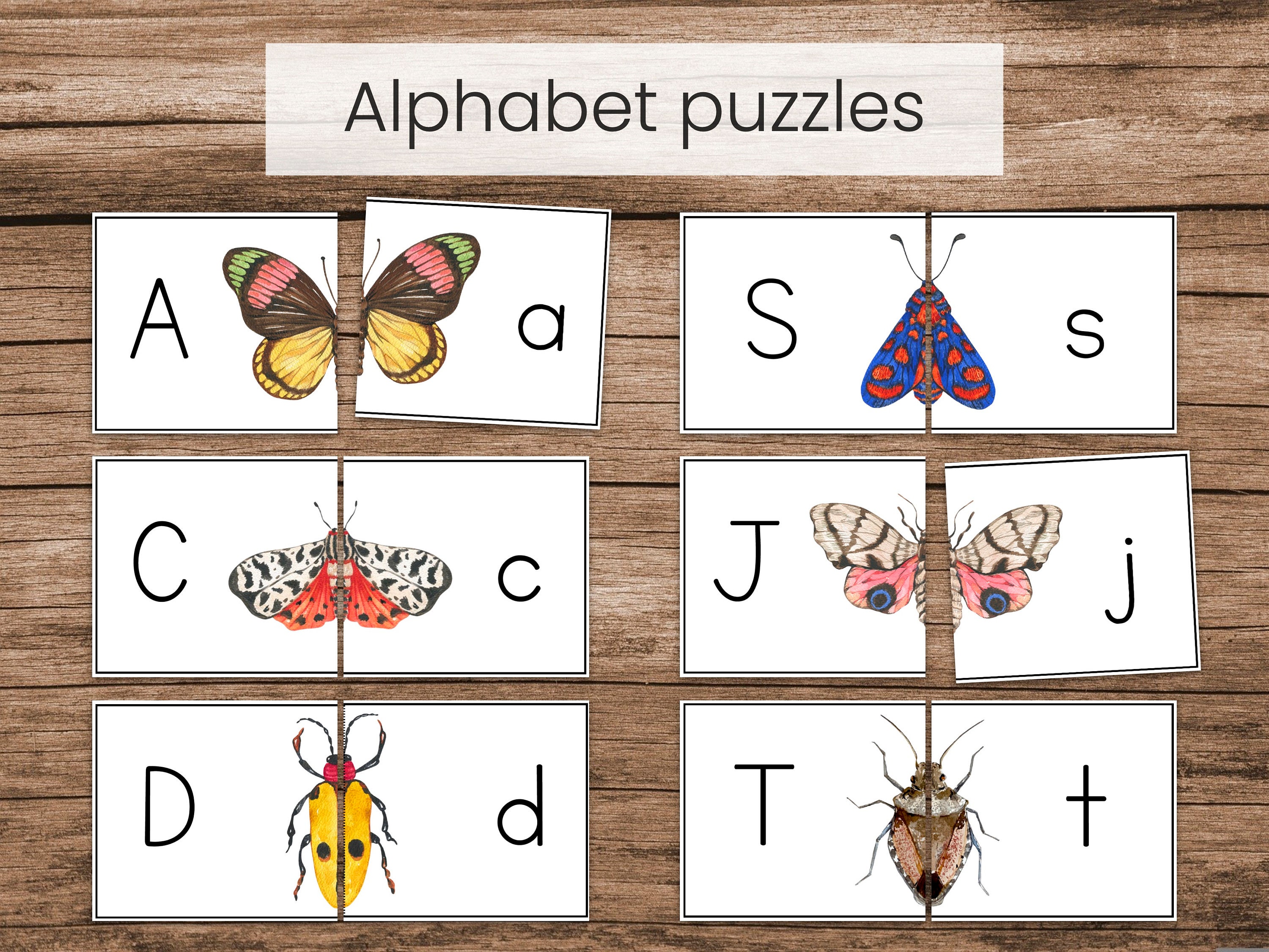 Insects Activity Bundle montessori Preschool Printable Unit - Etsy