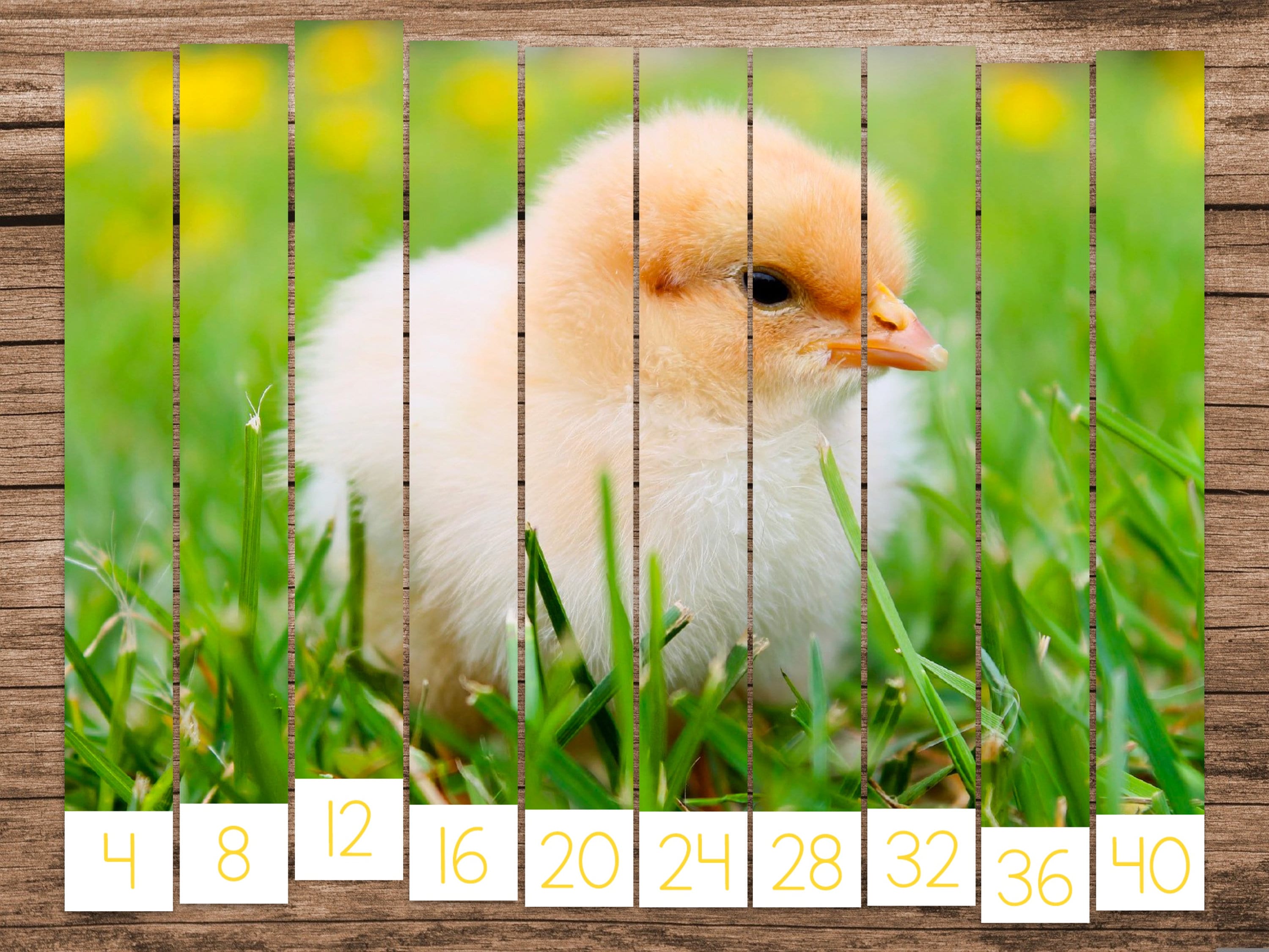 Animal Babies Spring Skip Counting Puzzles (montessori Math Printable ...