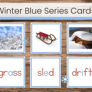 Winter Montessori Blue Series Reading Cards picture and Word - Etsy