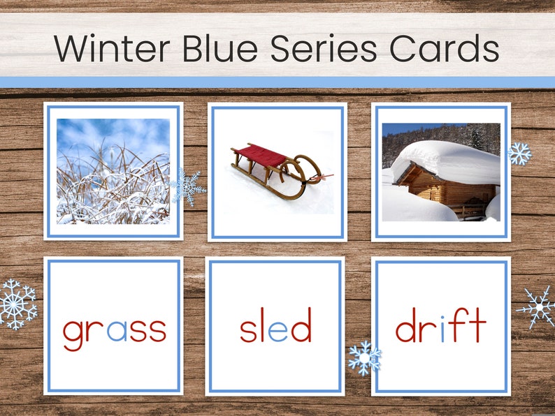 Winter Montessori Blue Series Reading Cards picture and Word - Etsy