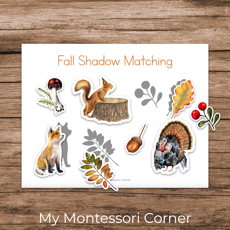 Fall Matching and Sorting Activities (autumn Montessori Preschool ...