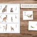 Uppercase-lowercase Alphabet Matching Cards, Mother and Baby Animals ...