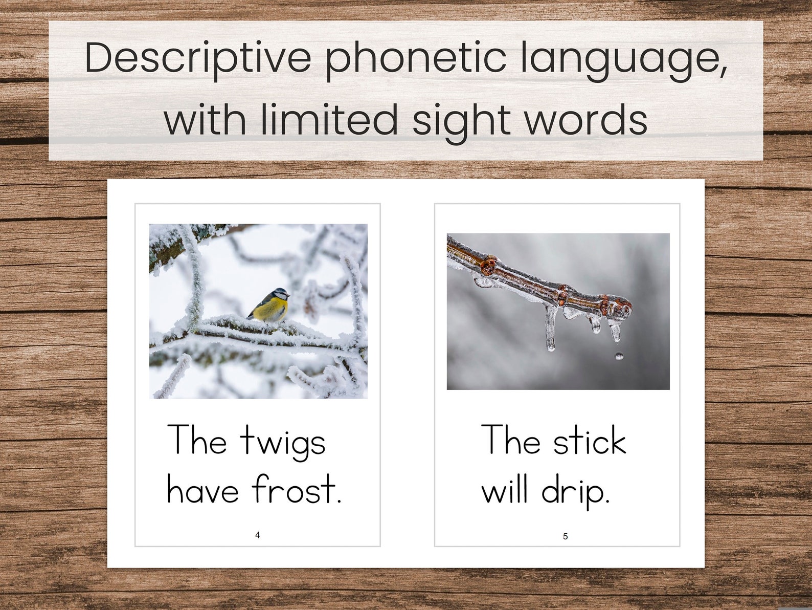 Winter Reading Bundle (montessori Pink, Blue and Green Series) - Etsy