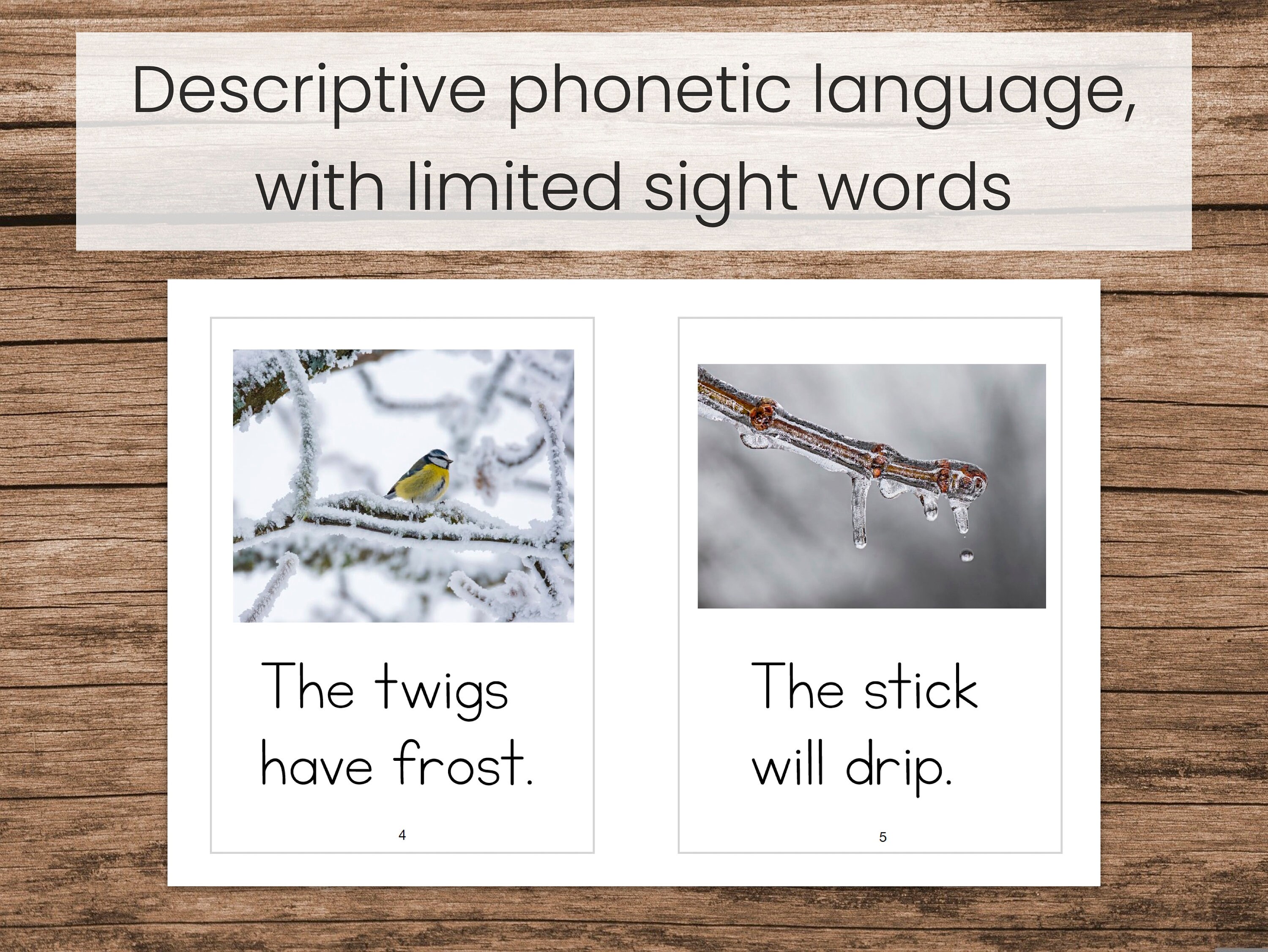 Winter Reading Bundle (montessori Pink, Blue and Green Series) - Etsy