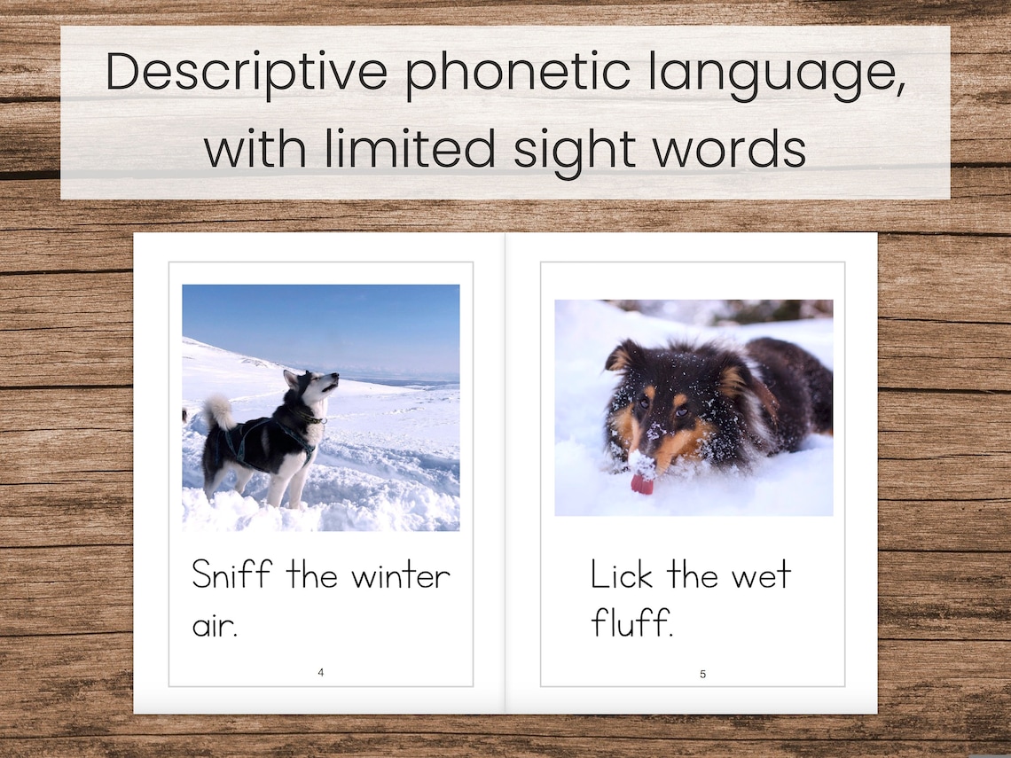 Winter Green Series Phonogram Readers (montessori Decodable Books) - Etsy