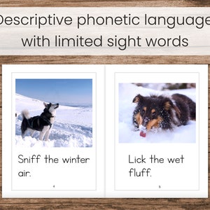 Winter Green Series Phonogram Readers (montessori Decodable Books) - Etsy
