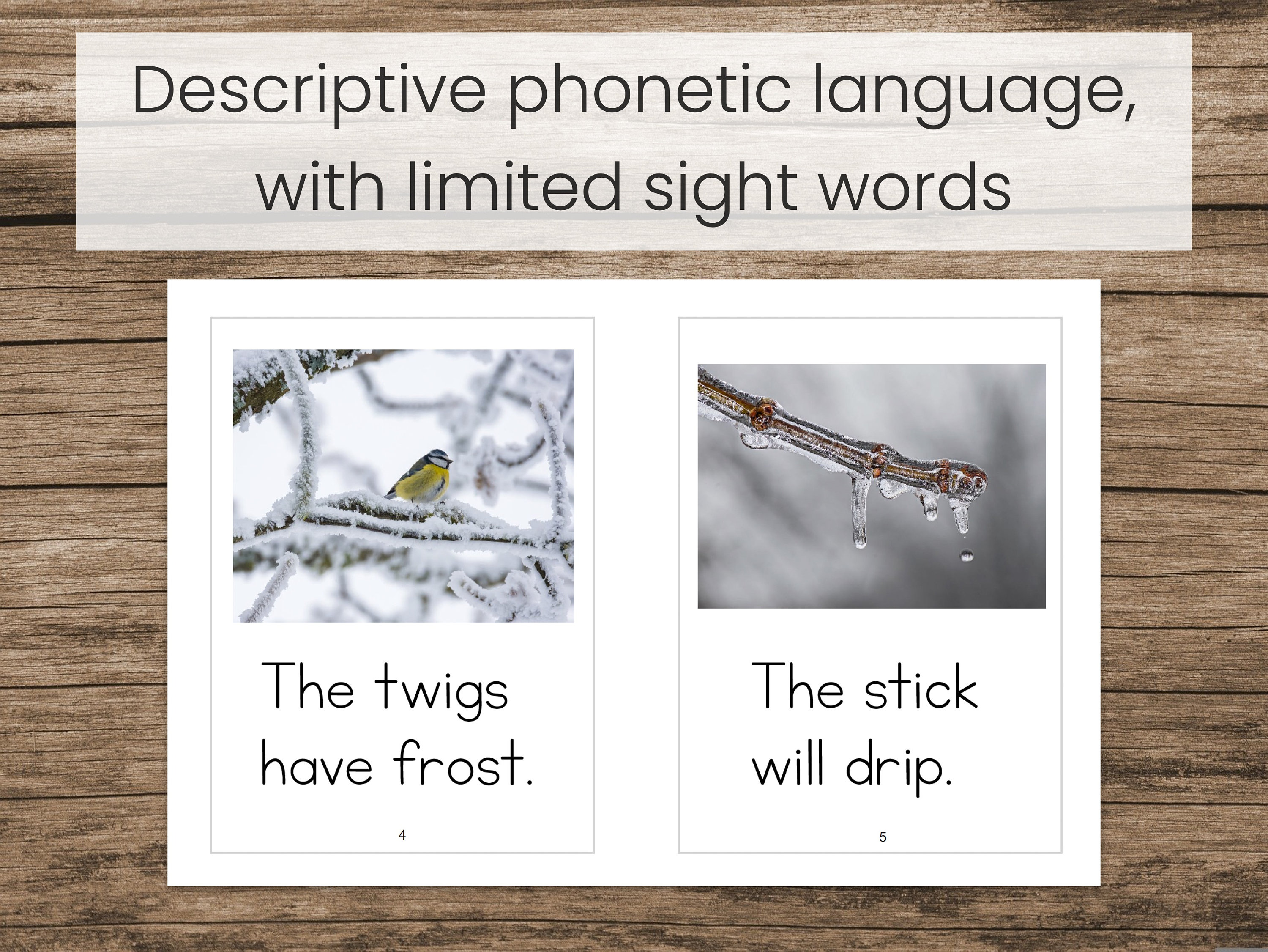 Winter Blue Series Readers (montessori Decodable Books) - Etsy