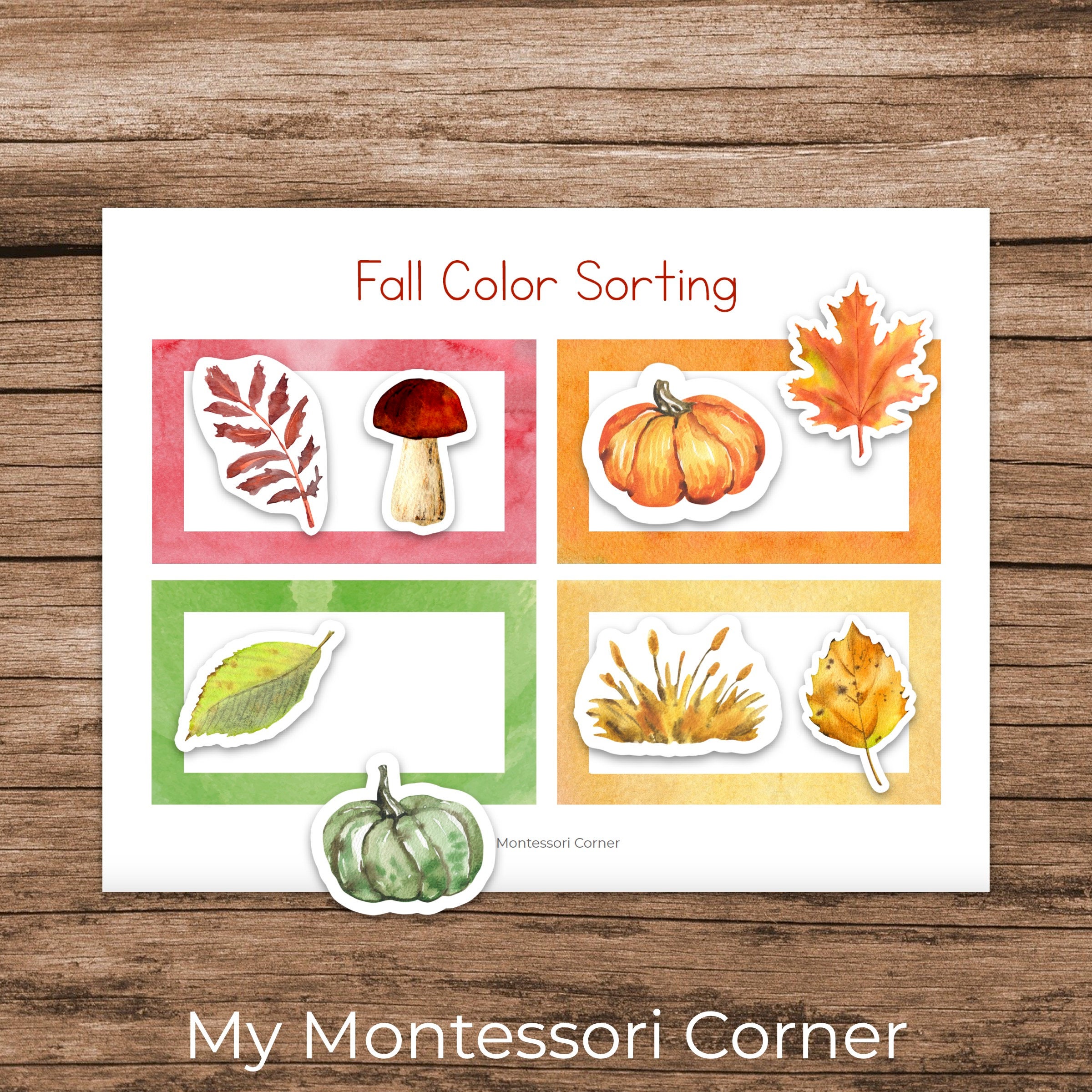 Fall Matching and Sorting Activities (autumn Montessori Preschool ...