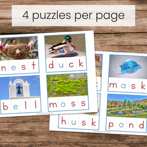 Picture Word Puzzles - Consonant Blends (montessori Blue Series ...