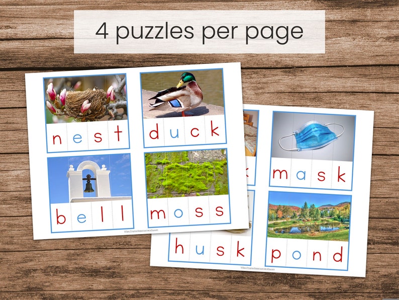Picture Word Puzzles - Consonant Blends (montessori Blue Series ...