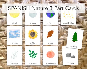 Numbers Bilingual Flashcards-spanish and English - Etsy