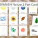 SPANISH Nature 3-part Cards: Montessori Preschool and Homeschool ...