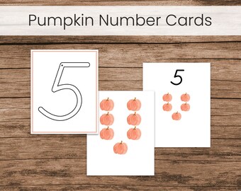 SPANISH Fall Colors Activity montessori Sorting Cards - Etsy