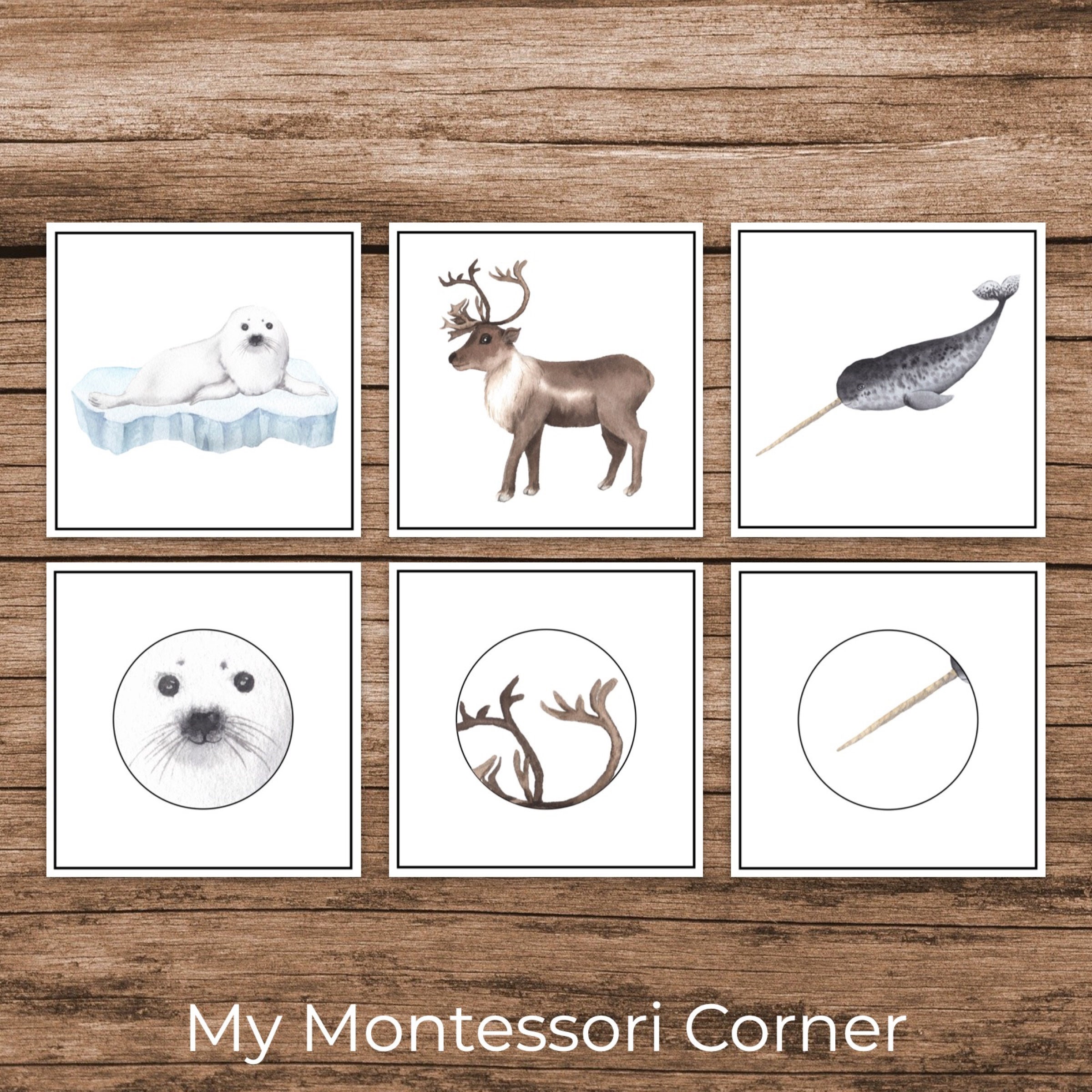 Arctic Animals I Spy Part-to-whole Matching Cards, Montessori Preschool ...