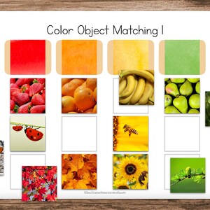 Montessori Shapes and Colors Busy Binder Activities (preschool Matching ...