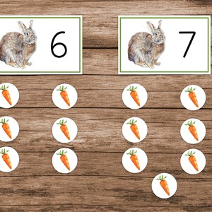 Spring Rabbit Numbers and Counters Activity (montessori Preschool Math ...