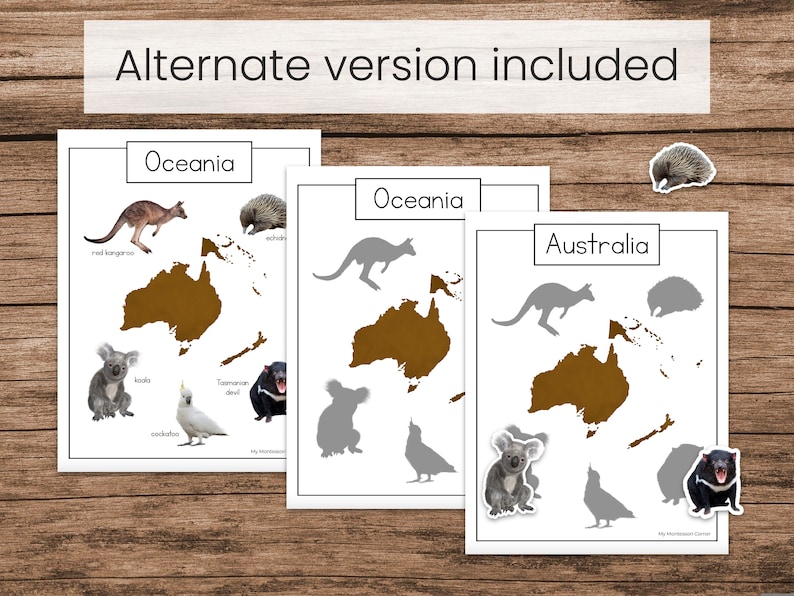 Animals of the Continents Shadow Matching, Sorting, and Posters, Real ...