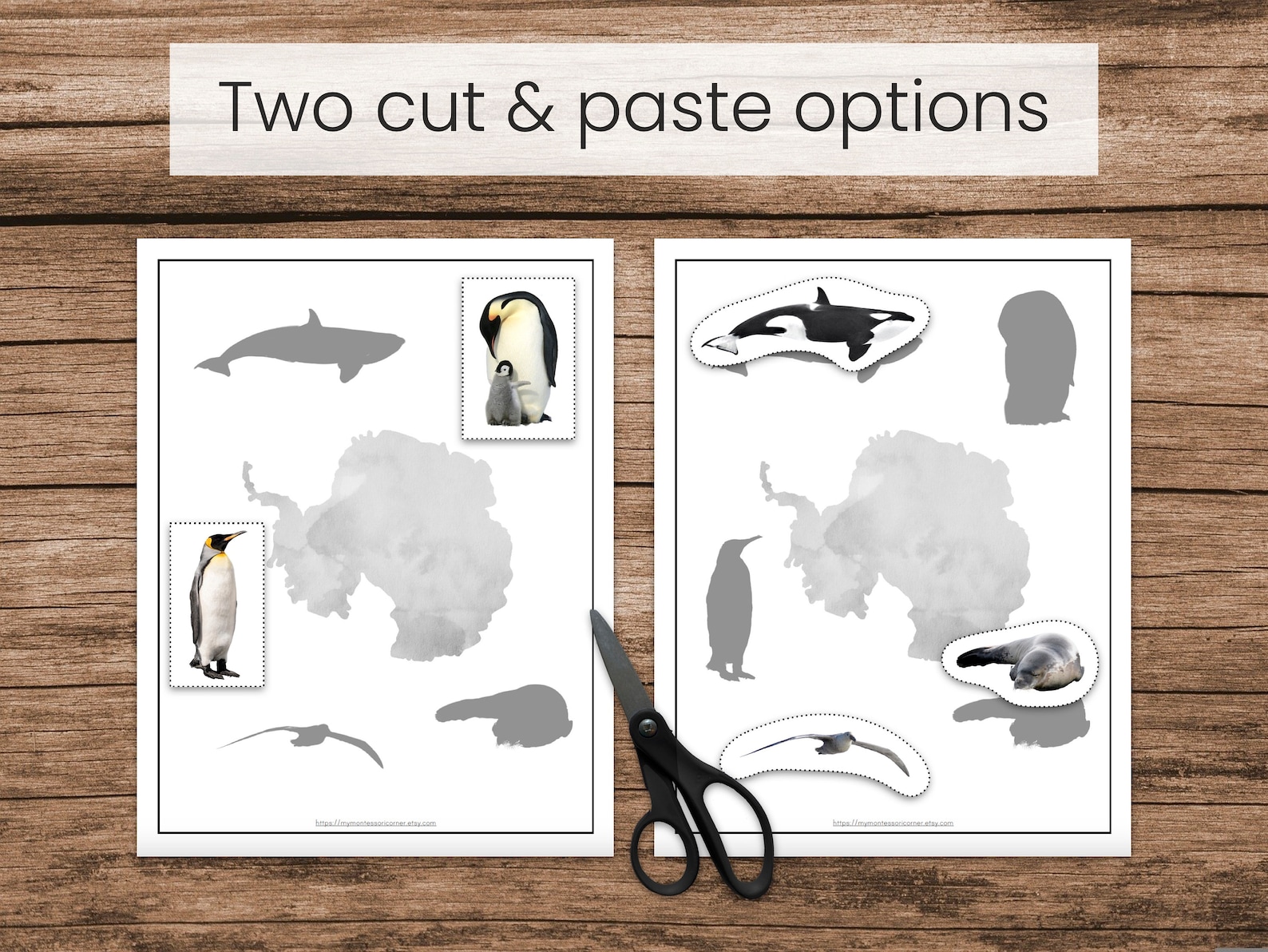 Antarctica Fine Motor Pack (montessori Geography Preschool Printable ...