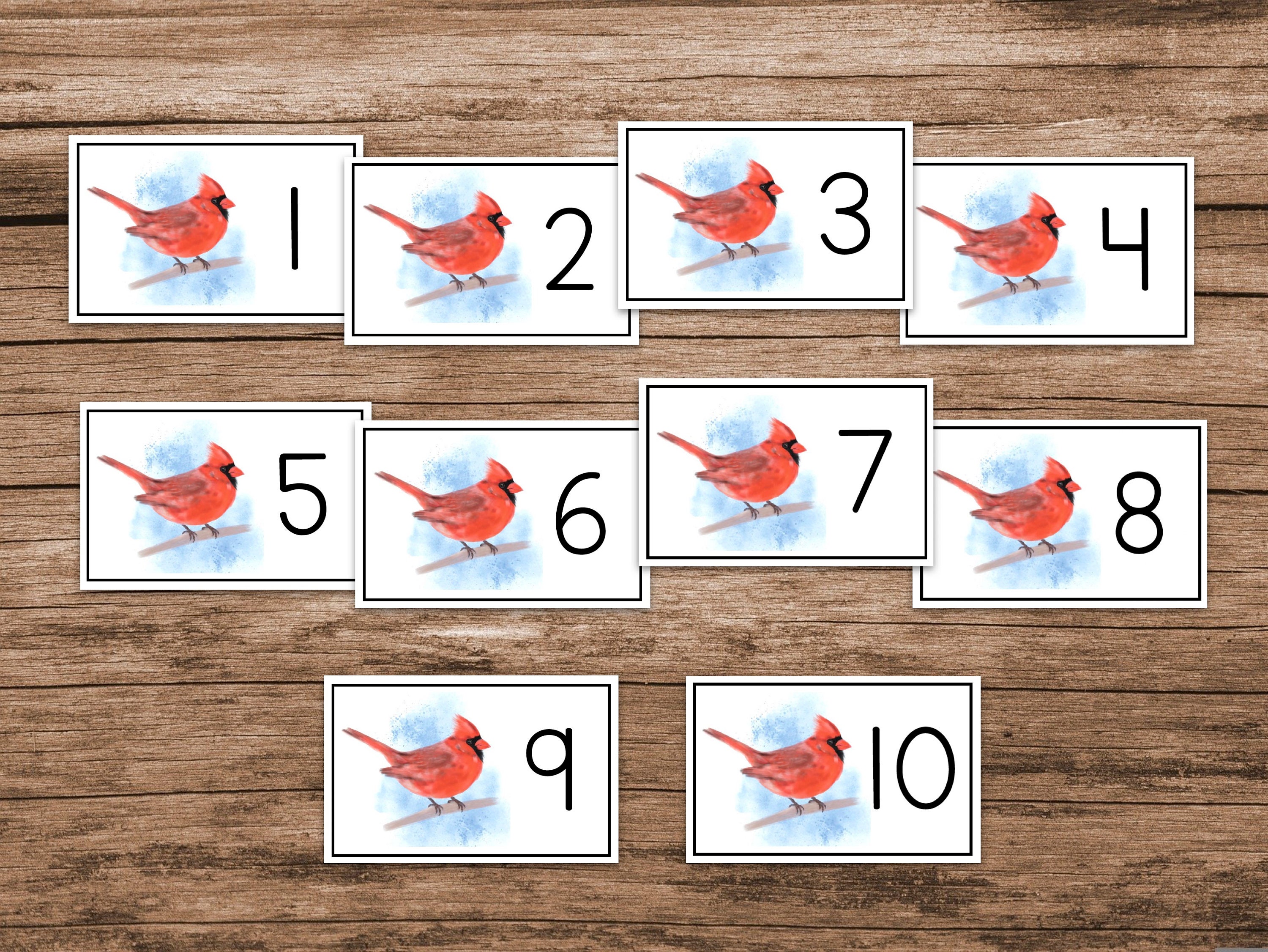 Winter Numbers and Counters Activity - Cardinals Theme - Etsy