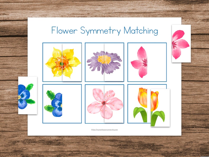 Spring Busy Binder Preschool Matching Activities Printable - Etsy