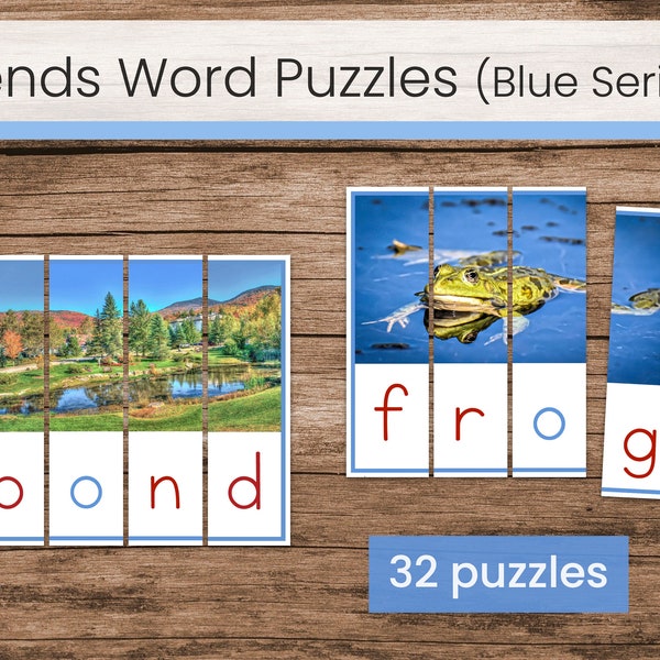Consonant Blends Picture Cards - Etsy