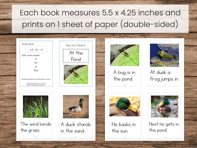 Blue Series Readers Set 2 (montessori Phonics Books, Consonant Blends ...