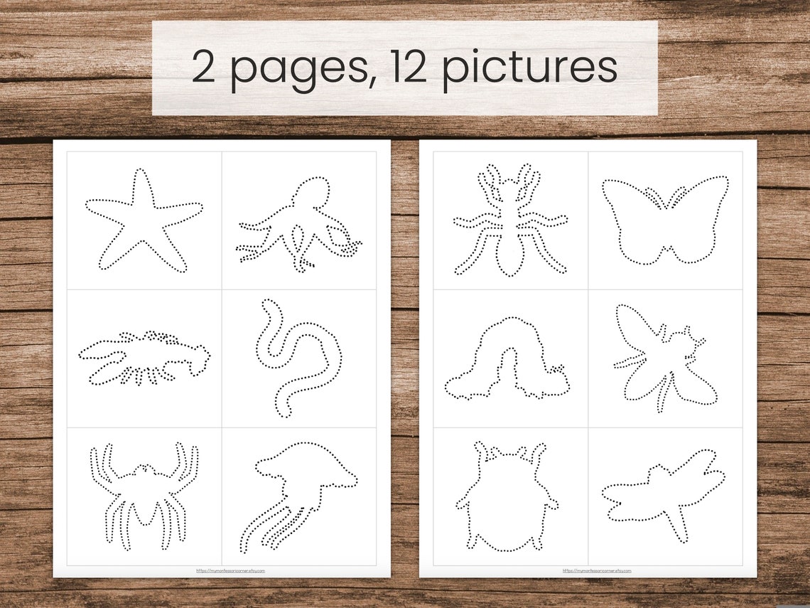Invertebrates Punching or Tracing Activity (montessori Fine Motor ...