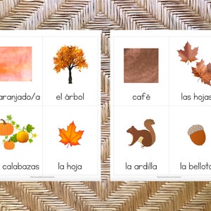 SPANISH Fall Colors Activity (montessori Sorting Cards) - Etsy