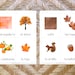 SPANISH Fall Colors Activity montessori Sorting Cards - Etsy
