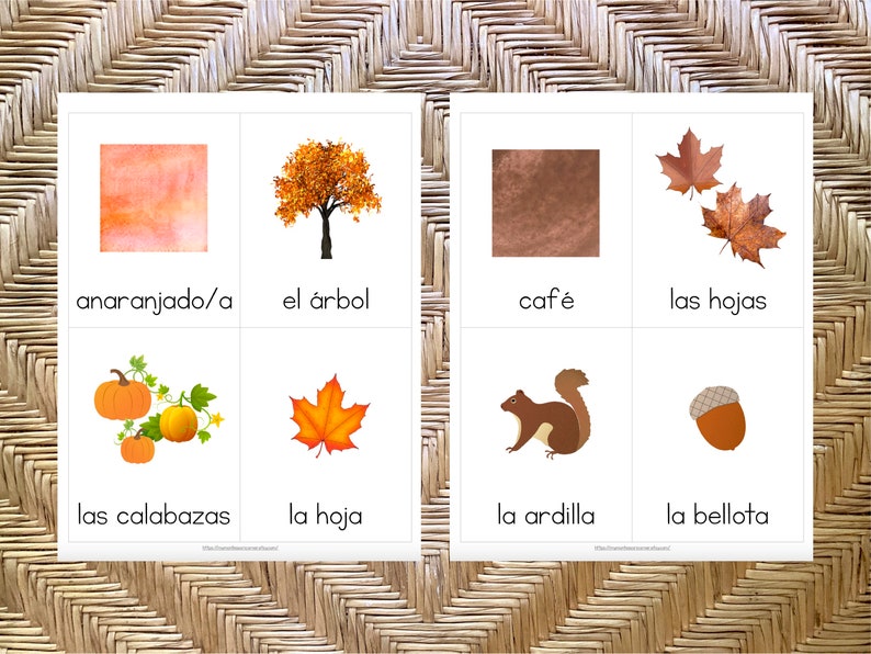 SPANISH Fall Colors Activity (montessori Sorting Cards) - Etsy