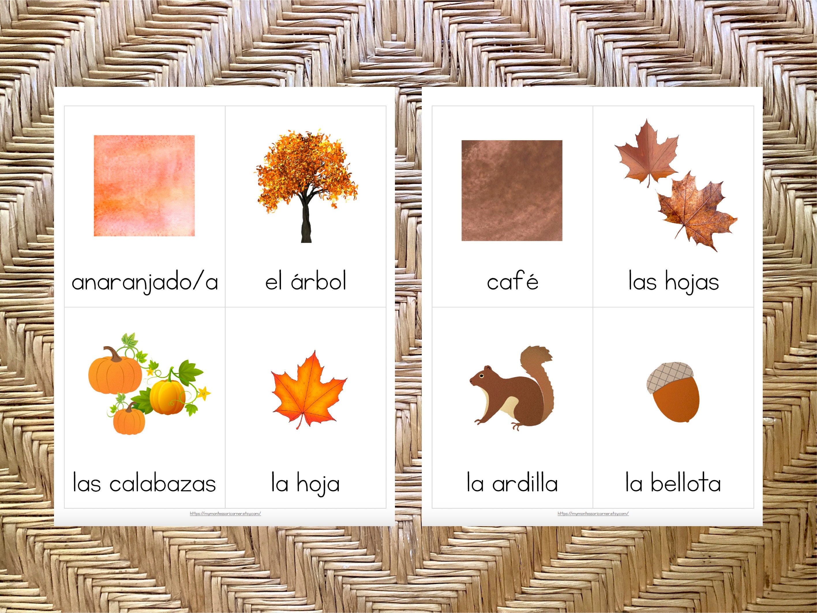 SPANISH Fall Colors Activity (montessori Sorting Cards) - Etsy